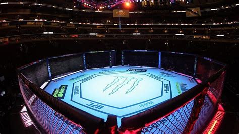 Ufc Fight Island To Use A Larger Cage Vip Guest May Attend The Event