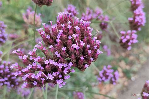 Xiaomi Mi T Pro Review A Change Of Direction