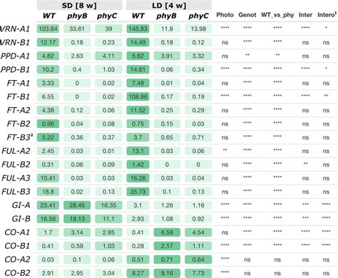 Photoperiod X Genotype Factorial Anovas For Transcripts Per Million