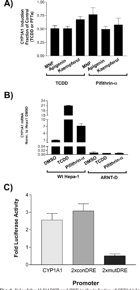 Figure 2 From The P53 Inhibitor Pifithrin α Is A Potent Agonist Of The