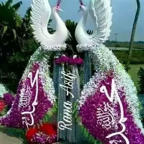 Imo Sex Kore 2040taka Reia Moen Youtube