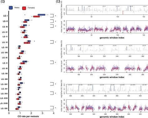 High Resolution Mapping Reveals Hotspots And Sex Biased Recombination