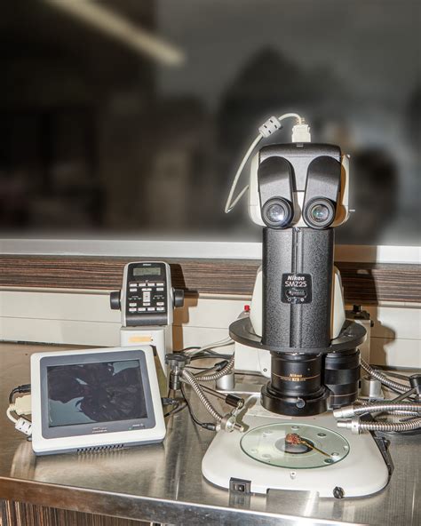 Equipment Rentals The Museum Of Ontario Archaeology