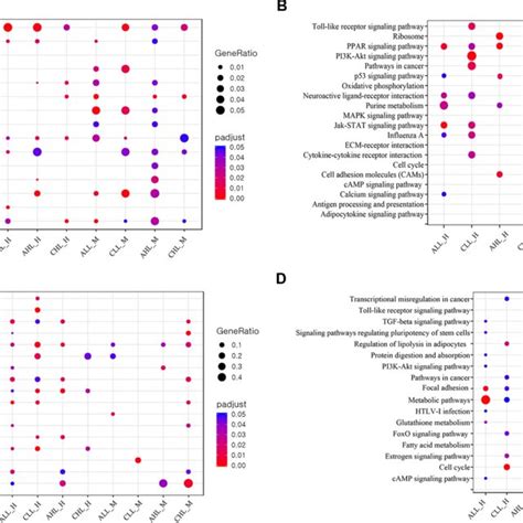 Go And Kegg Pathway Enrichment Analysis A Dot Plot Shows The Download Scientific Diagram