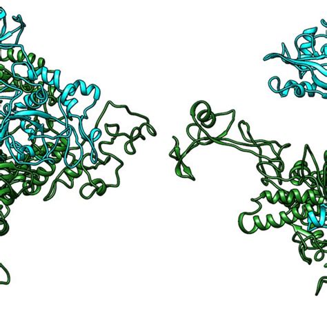 Schematic Representations Of The Structural Models Of β And β Subunits Download Scientific