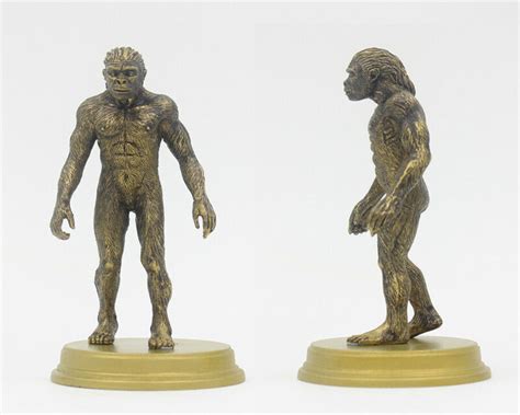 Ramapithecus Australopithecus Homo Habilis Homo Erectus Ape Man Figure