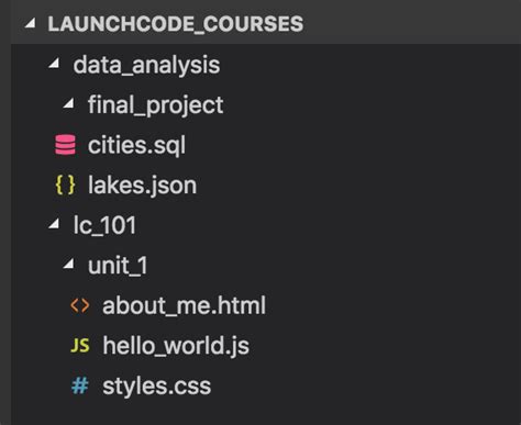 terminal commands tutorial — introduction to professional web