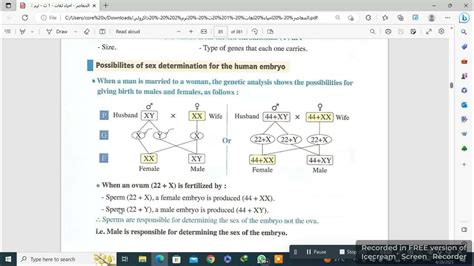 Biology 1st Secondary Unit 3 Chapter3 Lesson1 Sex Determination Youtube
