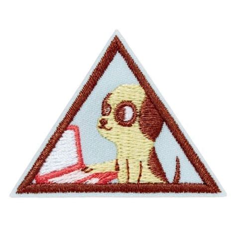 Brownie Cybersecurity Basics Badge