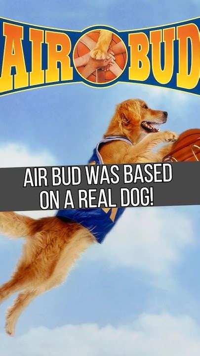 Disneys Air Bud Behind The Scenes Disney Podcast Interview Youtube