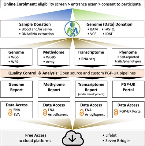 Pgp Uk Workflow Horizontal Panels Depict The General Sampledata