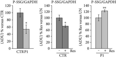 Effect Of Resveratrol Treatment On Free Thiol Groups P Sh Of Protein