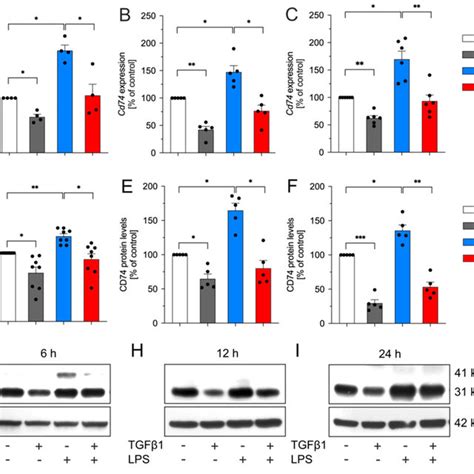 Tgfβ1 Inhibits Lps Mediated Upregulation Of Cd74 In Bv2 Cells