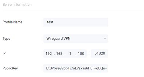 How To Configure Wireguard VPN On Omada Gateway TP Link