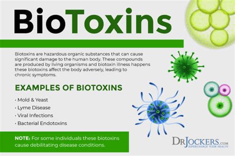 Biotoxin Illness Symptoms Causes And Healing Protocol