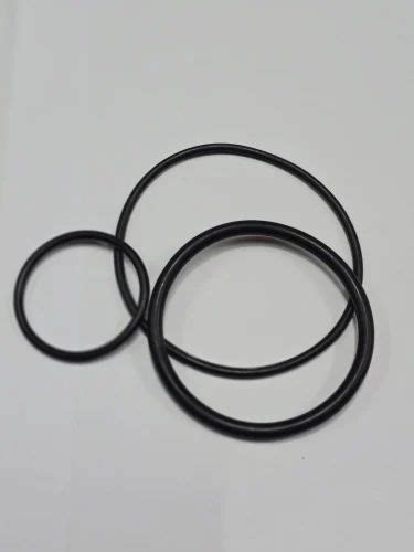 rubber gapi o ring nbr for industrial at ₹ 18 piece in raipur id