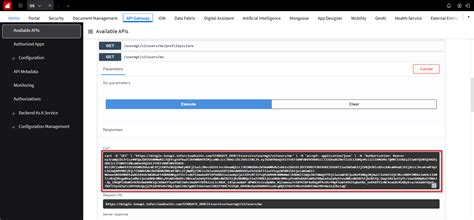 How To Call An Ion Api Infor Developer Portal