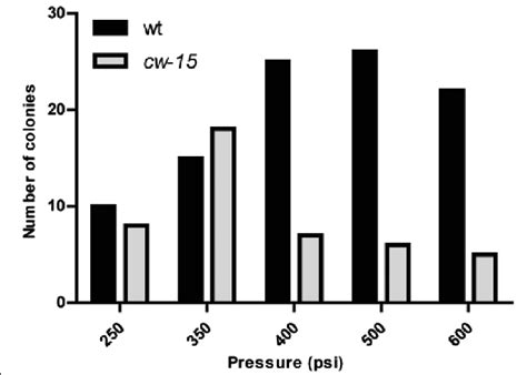 Optimization Of Biolistic Transformation Pressures For Utex 90 And Cw15 Download Scientific