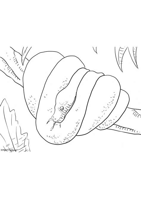 Skye From Paw Patrol 5 753x1024 Coloring Page