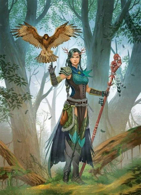 Wood Elf Druid Female At Jackson Dunrossil Blog