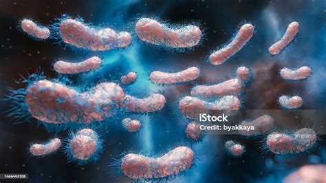 Enterobacterias 그램 Negativas Proteobacteria 살 모 넬 라 대장균 페스트 균 Klebsiella 박테리아 3 차원 렌더링 패혈증에 대한