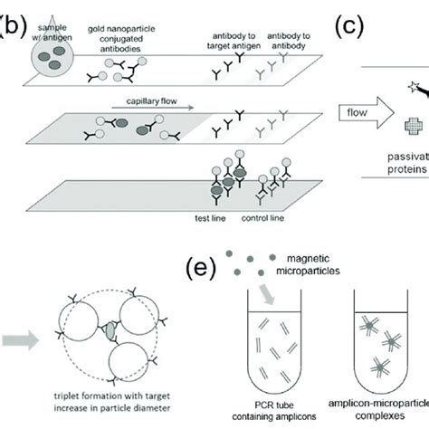 Graphical Classifications Of Microparticle Based Virus Detection