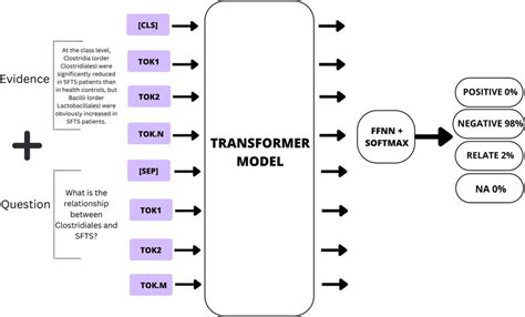 Illustration And Mapping Of The Evidence And Question Tokens Into The Download Scientific