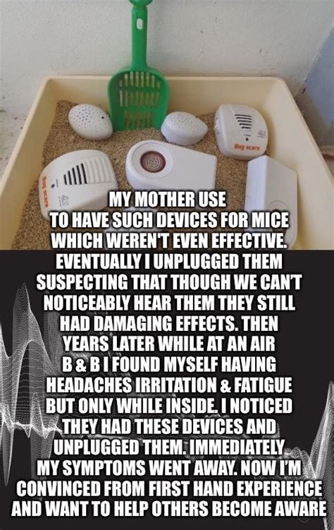 Cant Hear Them Scream Know Your Meme