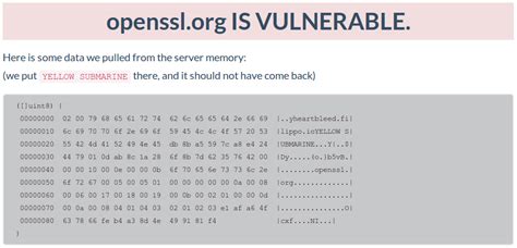 heartbleed ein openssl bug der weitreichende folgen haben könnte