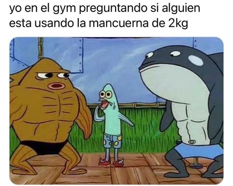 En El Gym Meme Subido Por Nitax Memedroid