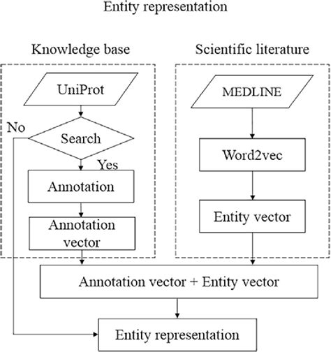 Entity Representation The Entity Representation Includes Information Download Scientific