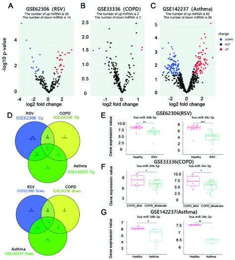 Aberrantly Expressed Mirna Molecules In Rsv Infection Asthma Or Copd Download Scientific