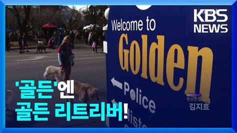 오늘의 영상 ‘골든에 등장한 천 마리의 ‘골든 리트리버 Kbs 20230302 Youtube