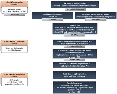 Flowchart Representing The Three Stage Approach Used In The Study Download Scientific Diagram