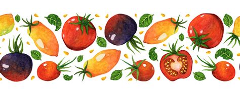 잘 익은 토마토 원활한 수채화 테두리 흰색 배경에 손으로 그린 그림 바질과 오레가노 잎이 있는 빨간색 노란색 검은 색 채소 전체