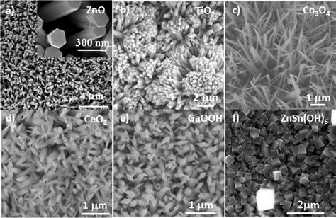 A Set Of Sem Images Displaying The Single Component Nanostructure