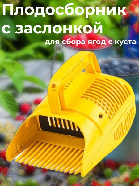 Плодосъемник/плодосборник с заслонкой, для сбора ягод с куста - купить ...