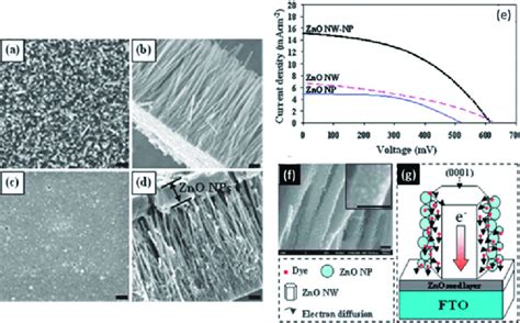 Zno Nanowire Nanoparticle Hybrid Photoelectrode For Dscs A B Sem