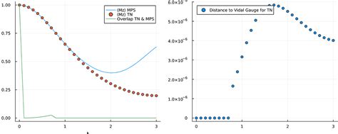 difference between time evolution using mps and tensor networks
