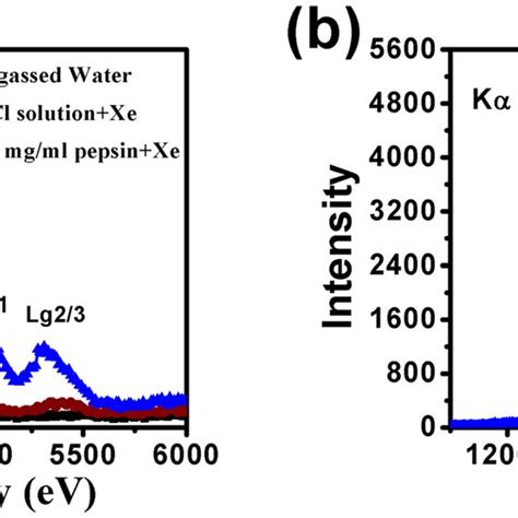 Micro X Ray Fluorescence Absorption Near A Xe L Edge And B Kr