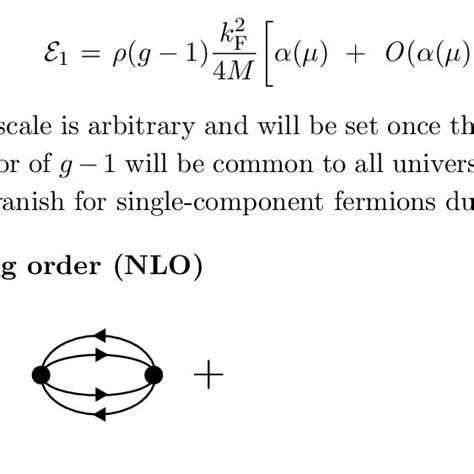 Next To Leading Order Diagrams Contributing To The Energy Density Only Download Scientific