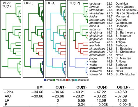 Figure 12 3 From Modern Phylogenetic Comparative Methods And Their