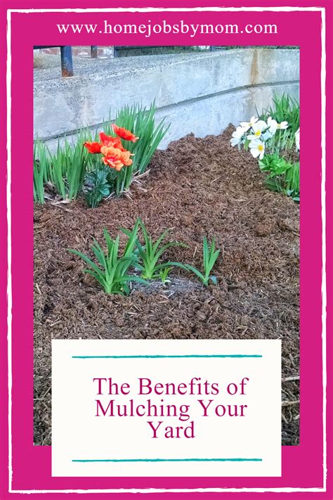 The Benefits Of Mulching Your Yard Home Jobs By Mom