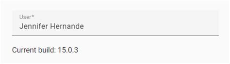 Async Validator Doesn T Work On Angular AutoComplete Stack Overflow