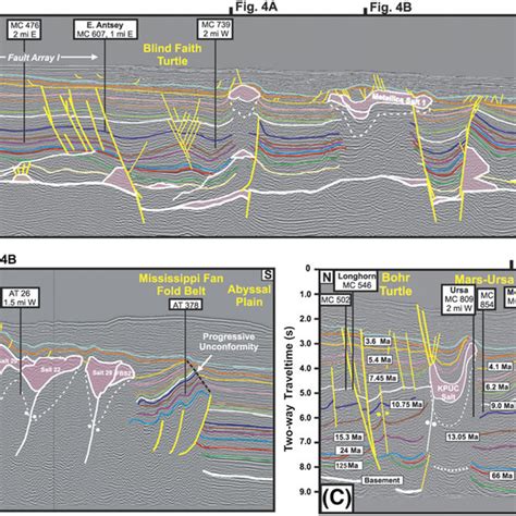 Regional Seismic Profiles Part 1 The Autochthonous And Allochthonous