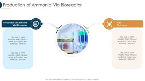 Production Of Ammonia Via Bioreactor Powerpoint Presentation And Slides Ppt Template Slideteam