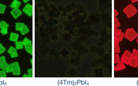 Pv Cell World Energy