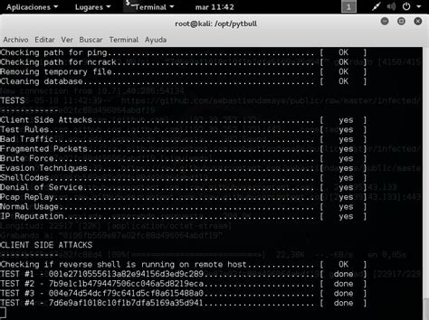 Comprueba Las Capacidades De Tu Ids Ips Con Pytbull