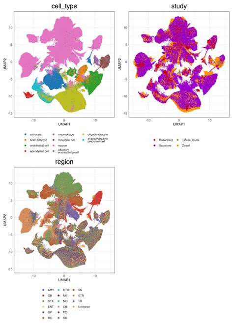 dataset mouse brain