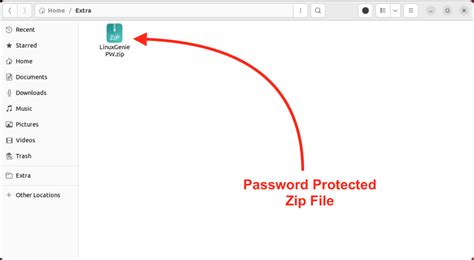 how to unzip a zip file in ubuntu 22 04 linux genie